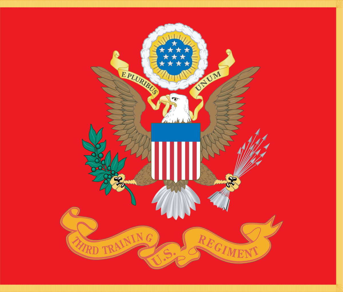 Rectangle Flags - Army - Regimental Colors - Red - Flag w Fringe - Thi ...