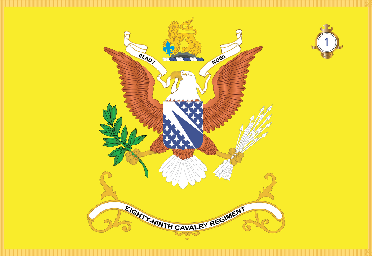 Rectangle Flags - Regimental Colors - 1st Squadron, 89th Cavalry Regim ...