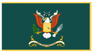Rectangle Flags - Regimental Colors - 1st Special Forces Group – MIP ...