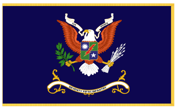 Rectangle Flags - Regimental Colors - 75th Infantry X 300 – MIP Brand Store